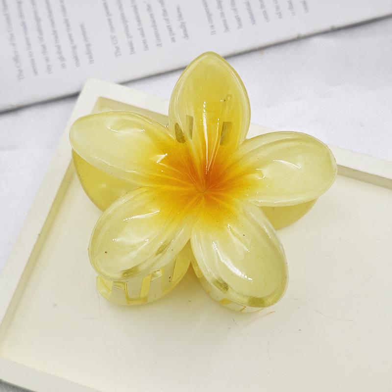 6PCS Korean Hair Clips Set: Egg Flower & Crab Claw, Sweet Gradient Hair ...