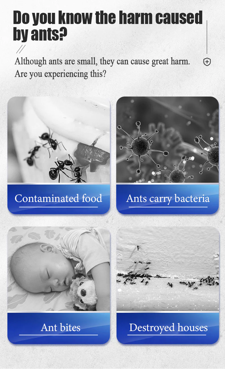 【Ready stock】Kill all the ants in the house Ant killer ant poison ant ...