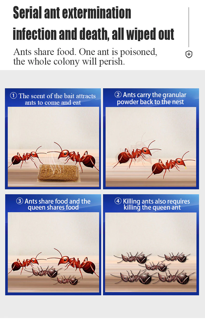 【Ready stock】Kill all the ants in the house Ant killer ant poison ant ...