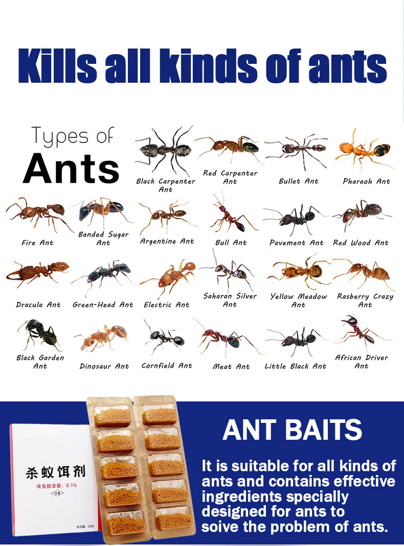 【Ready stock】Kill all the ants in the house Ant killer ant poison ant powder ant repellent Lure ...
