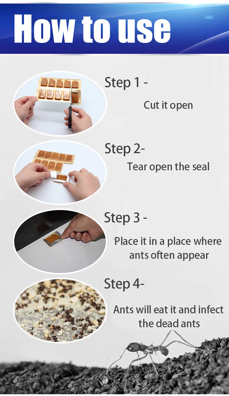 【Ready stock】Kill all the ants in the house Ant killer ant poison ant ...