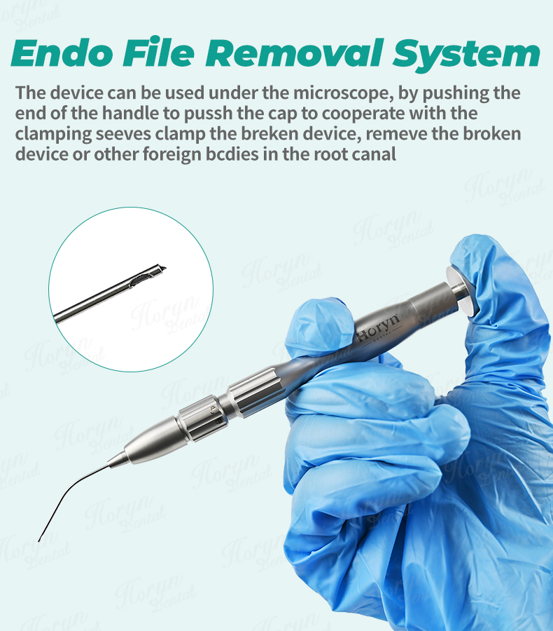 HORYN Dental Endodontic Endo File Removal System Kit / Endo Broken File ...