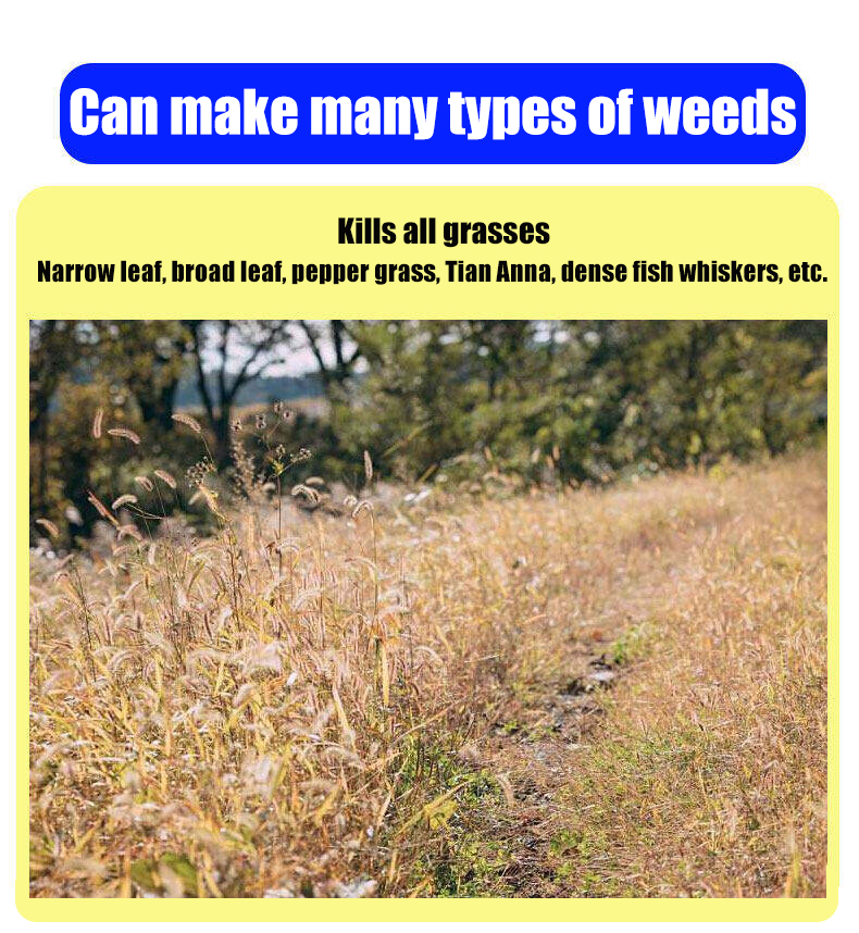 (STRONG DESTRUCTIVE POWER) 500g Effective weed control removing big ...