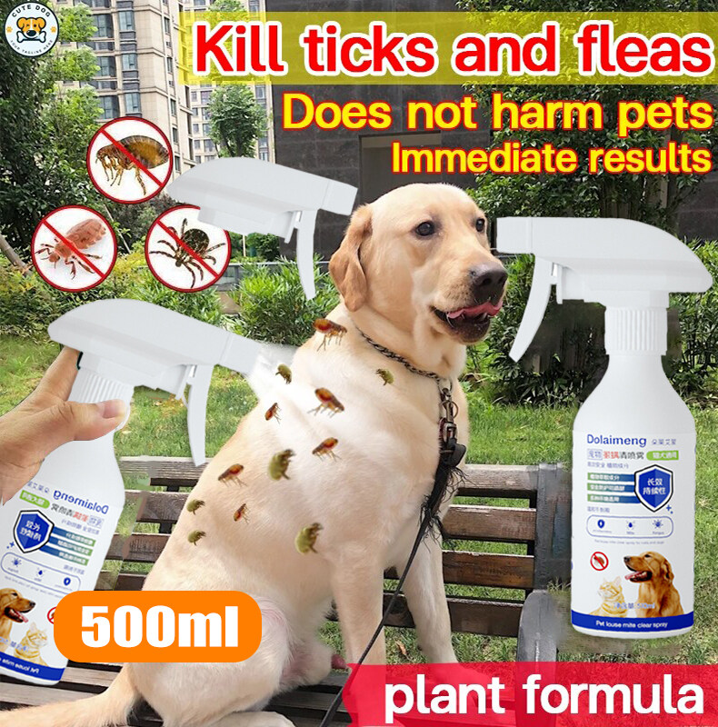 Kill all fleas in 1second flea and tick spray 500ML ubat kutu kucing paling berkesan Insect ...