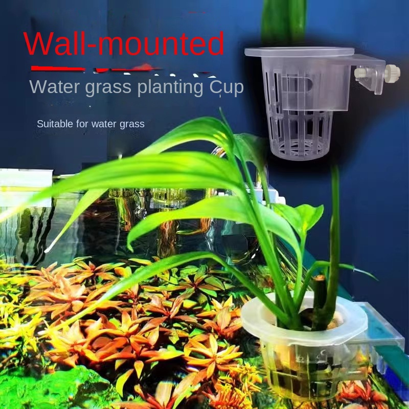1pc Planting cup, water grass cup, water grass cup, hydroponic ...