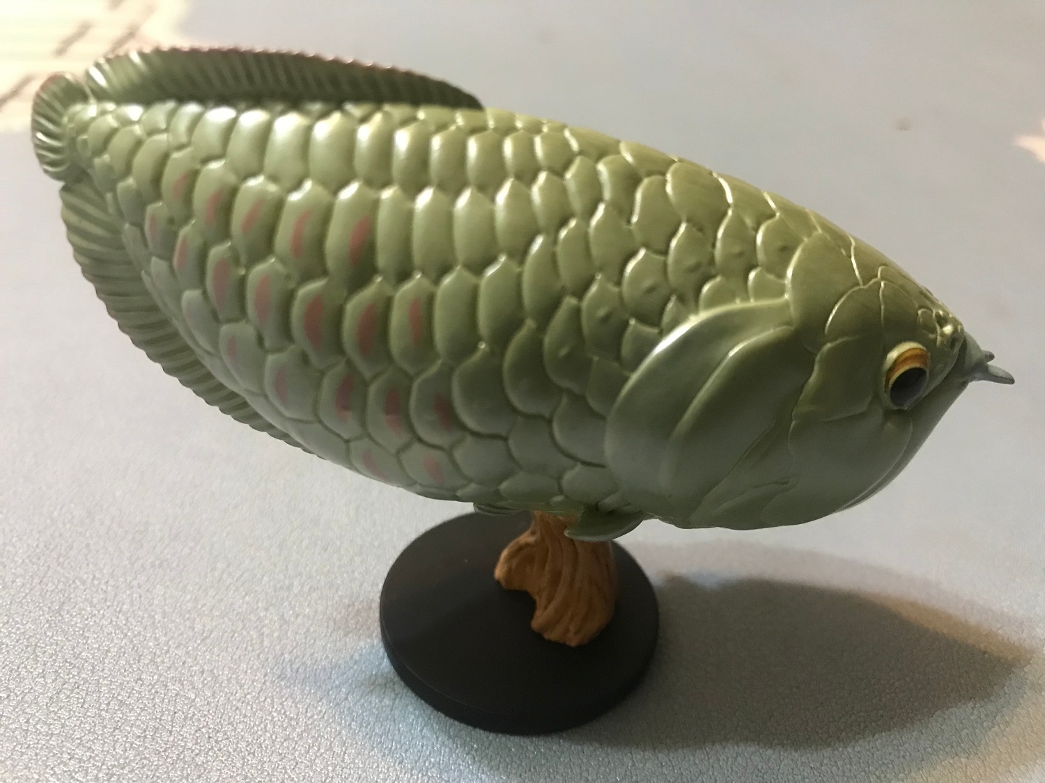 Animal Planet Ancient Fish Heart Wide Body Fat Hard Bone Tongue Fish ...
