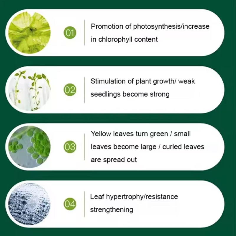 Plant resurrection solution (universal type) 植物复活液 解决植物黄叶 恢复植物生命 solves ...
