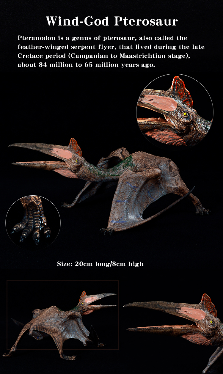 Pterosaur Dinosaur Toys for Kids, Pterosaur Toy Figure, Flying Dinosaur ...