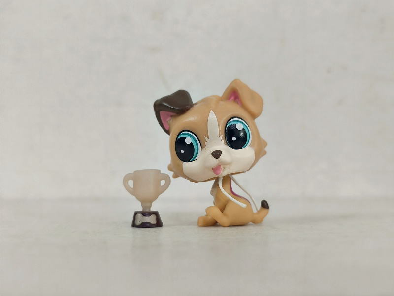 LPS Figure Yellow Alba Furria #3958 Littlest Pet Shop toy With Box ...