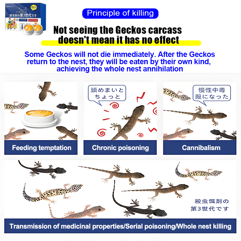 The gecko died overnight lizard killer racun cicak paling berkesan 8pcs ...