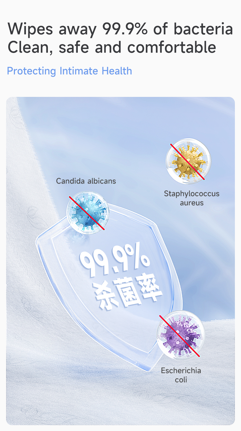 Deeyeo Mini Flushable Wipes Tissues Portable Wet Toilet Paper Wipes ...