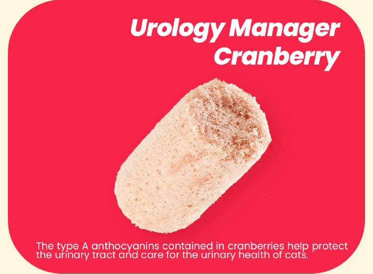 Bright Cat Freeze Dried Booster Grass Completed 布兰德全价猫粮主食果蔬冻干 (15g x 21 ...