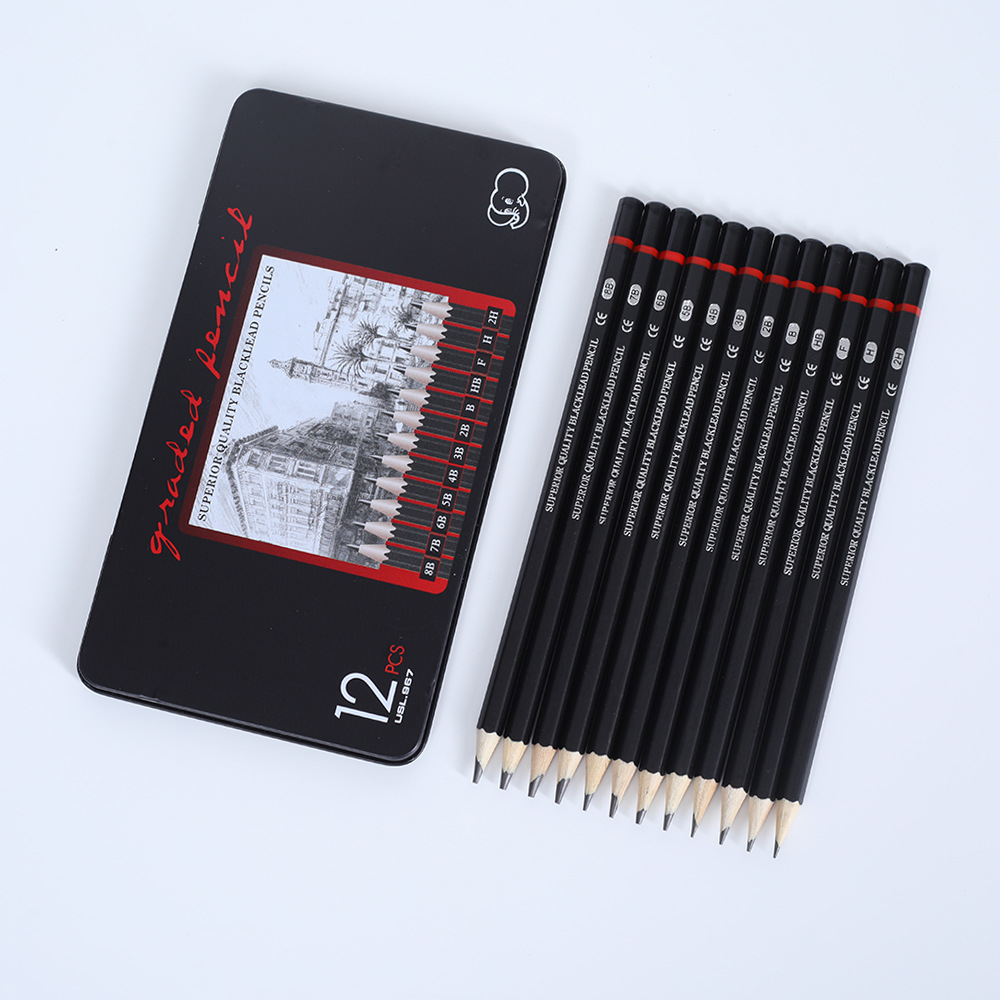 12Pcs Sketching Pencils Set with 1Pc Dual Hole Sharpener, Professional ...