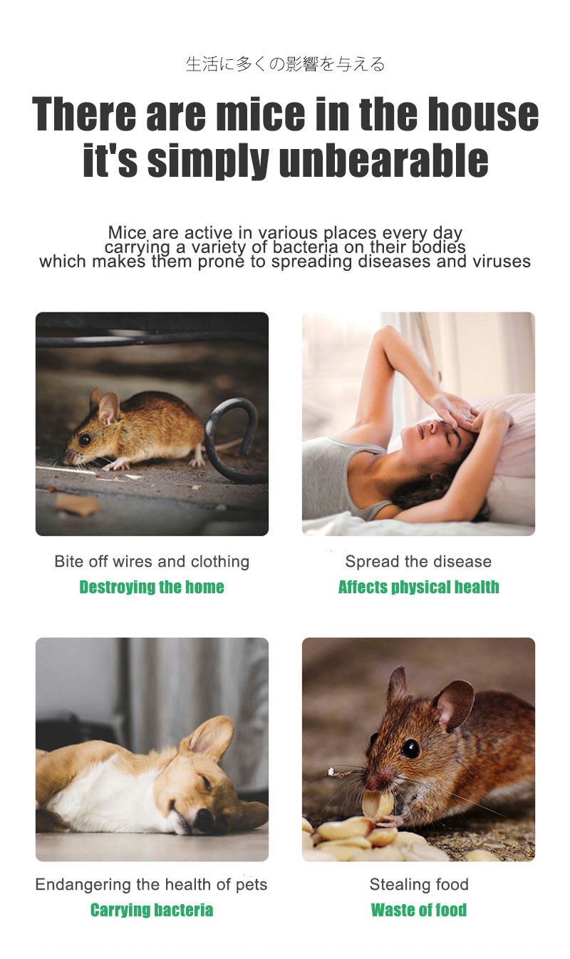 2025 New Buy 1 FREE 1 TTG Rat repellent gel Mouse repellent Penghalau ...