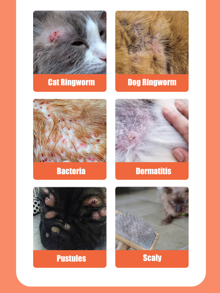 Treat all skin problems for pet ubat kurap kucing 200ML dog itchy skin ...