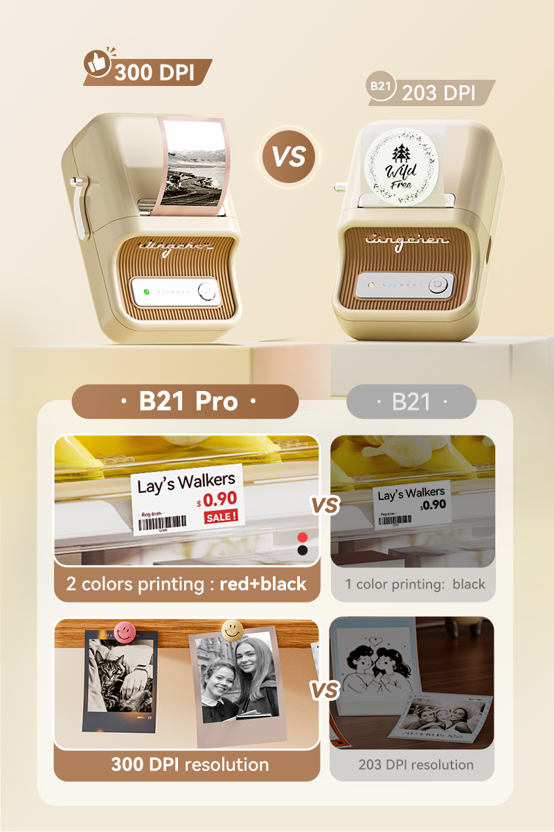 Niimbot B21/B21Pro Label Printer Portable Cake Label Maker, Price Tag Printer , For Office, Home ...