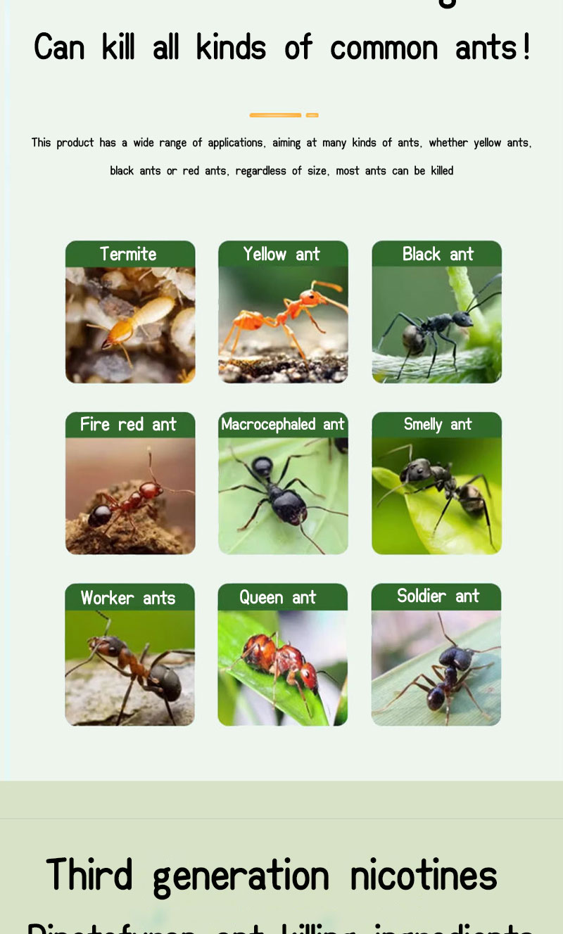 New upgrade LMM Spray semut Ant killer Racun semut berkesan Safe and ...