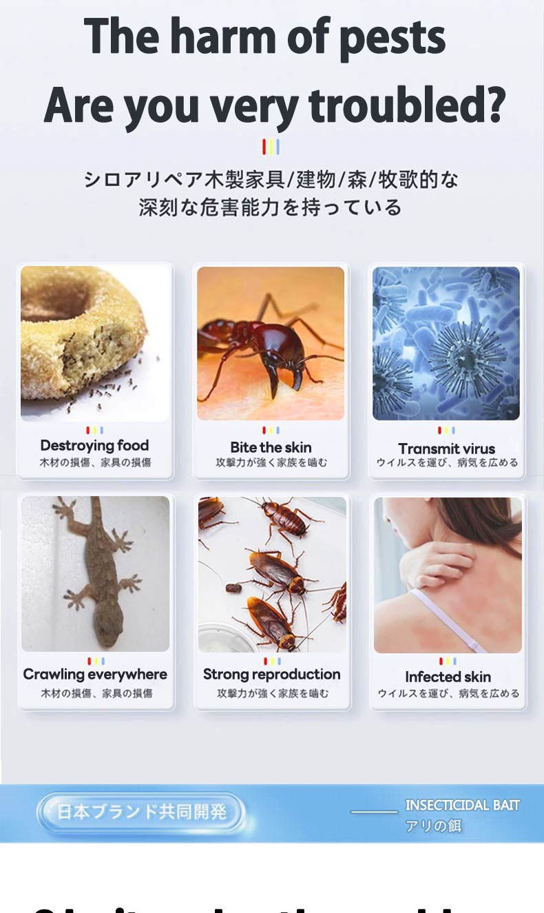 Eco Friendly Gel Ant Bait. Anti Ant Bait. Insects Wipe Out Gel Eco Bait ...