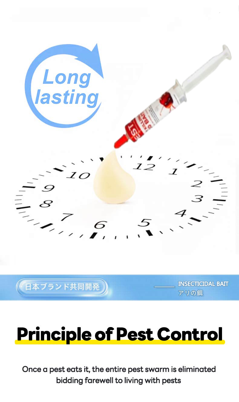 Eco Friendly Gel Ant Bait. Anti Ant Bait. Insects Wipe Out Gel Eco Bait ...