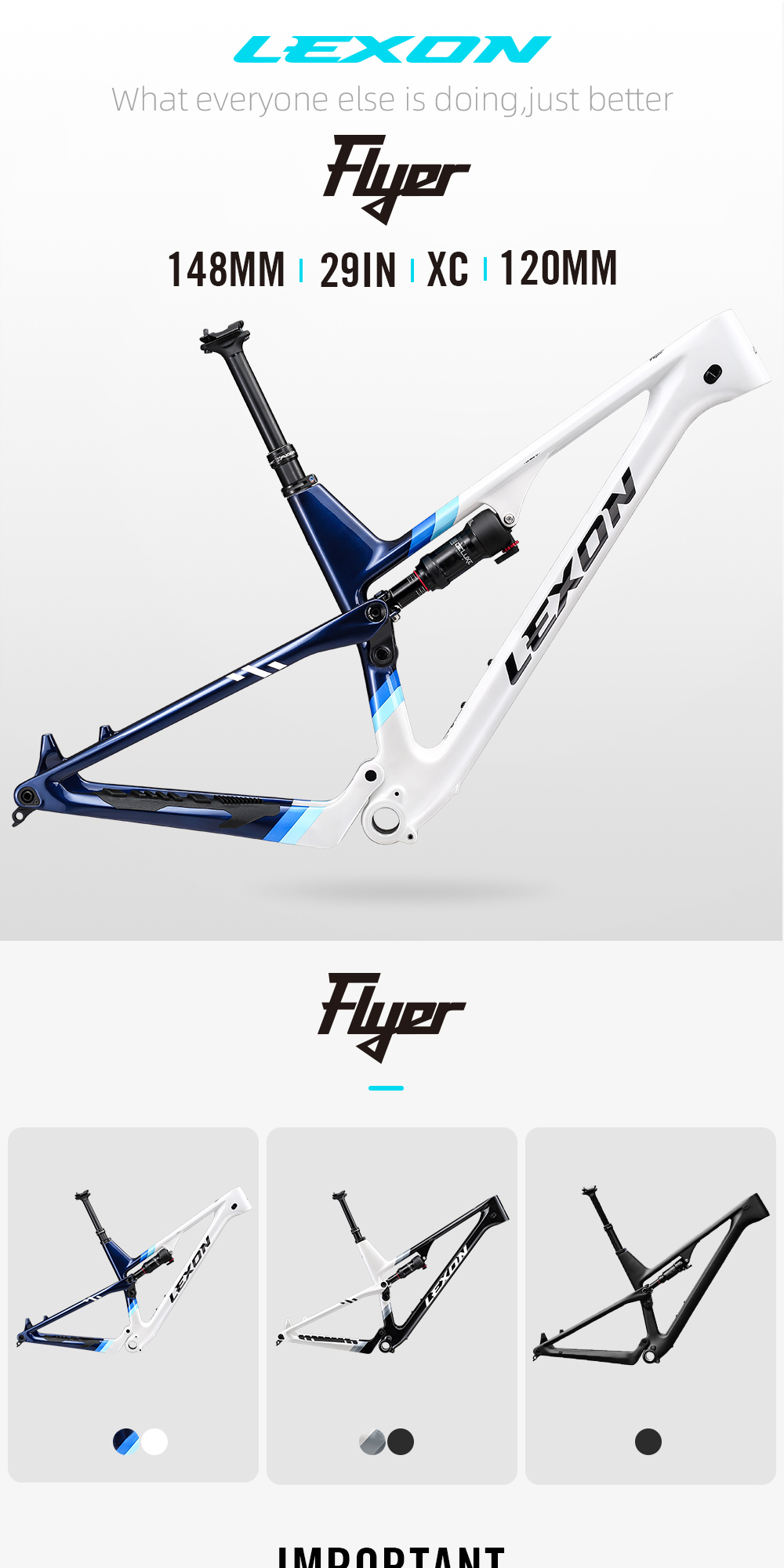 2025 LEXON FLYER Full Suspension Carbon MTB Frames 29er 15.5/17.5/19/21 ...