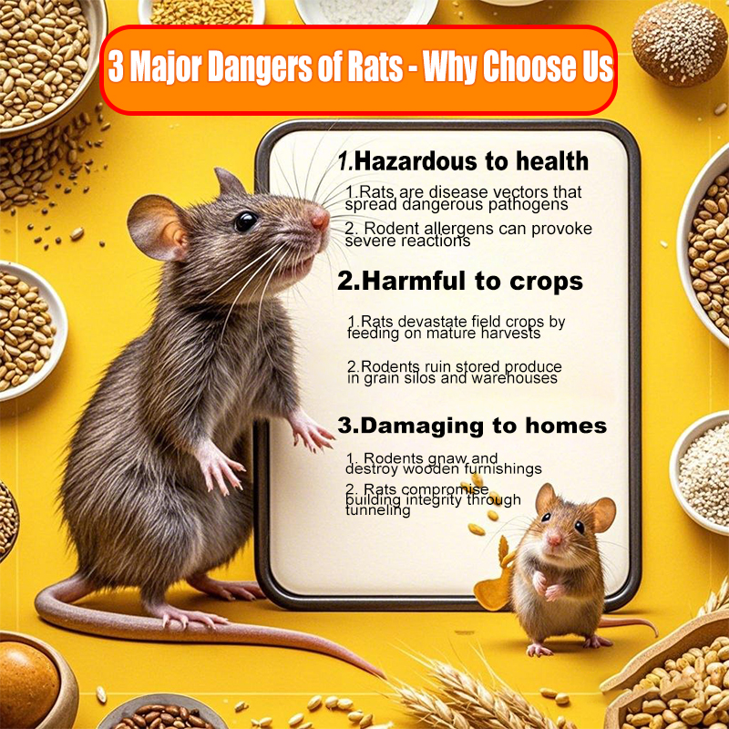 【Malaysia Spot】Rats die in just 1 seconds Rat poison 500g Racun tikus ...