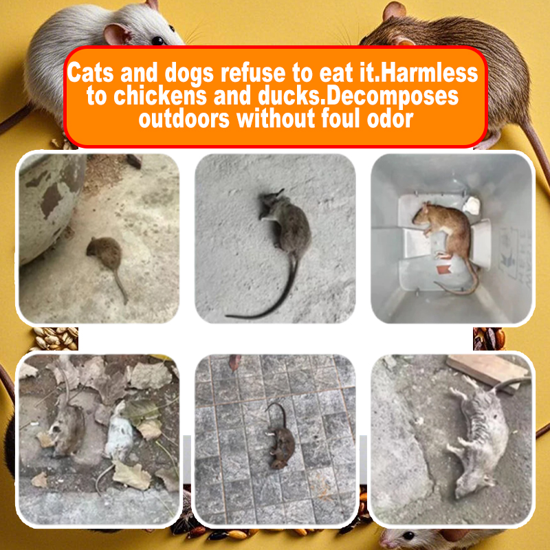 【Malaysia Spot】Rats die in just 1 seconds Rat poison 500g Racun tikus ...