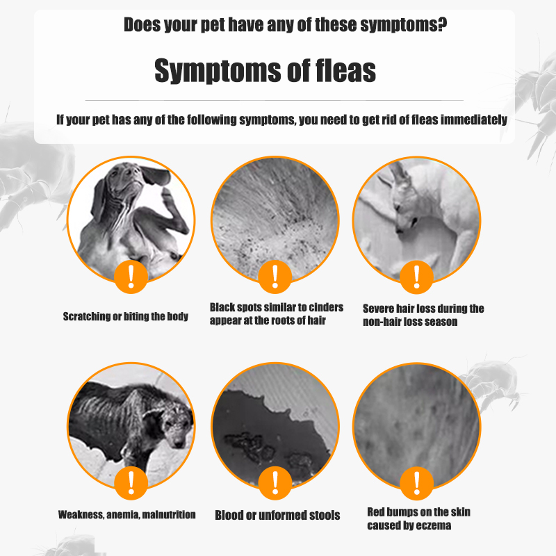 Mite-Flea-B-Gone! 24H Bug Armor Spray Kutu Kucing RB Flea and tick ...