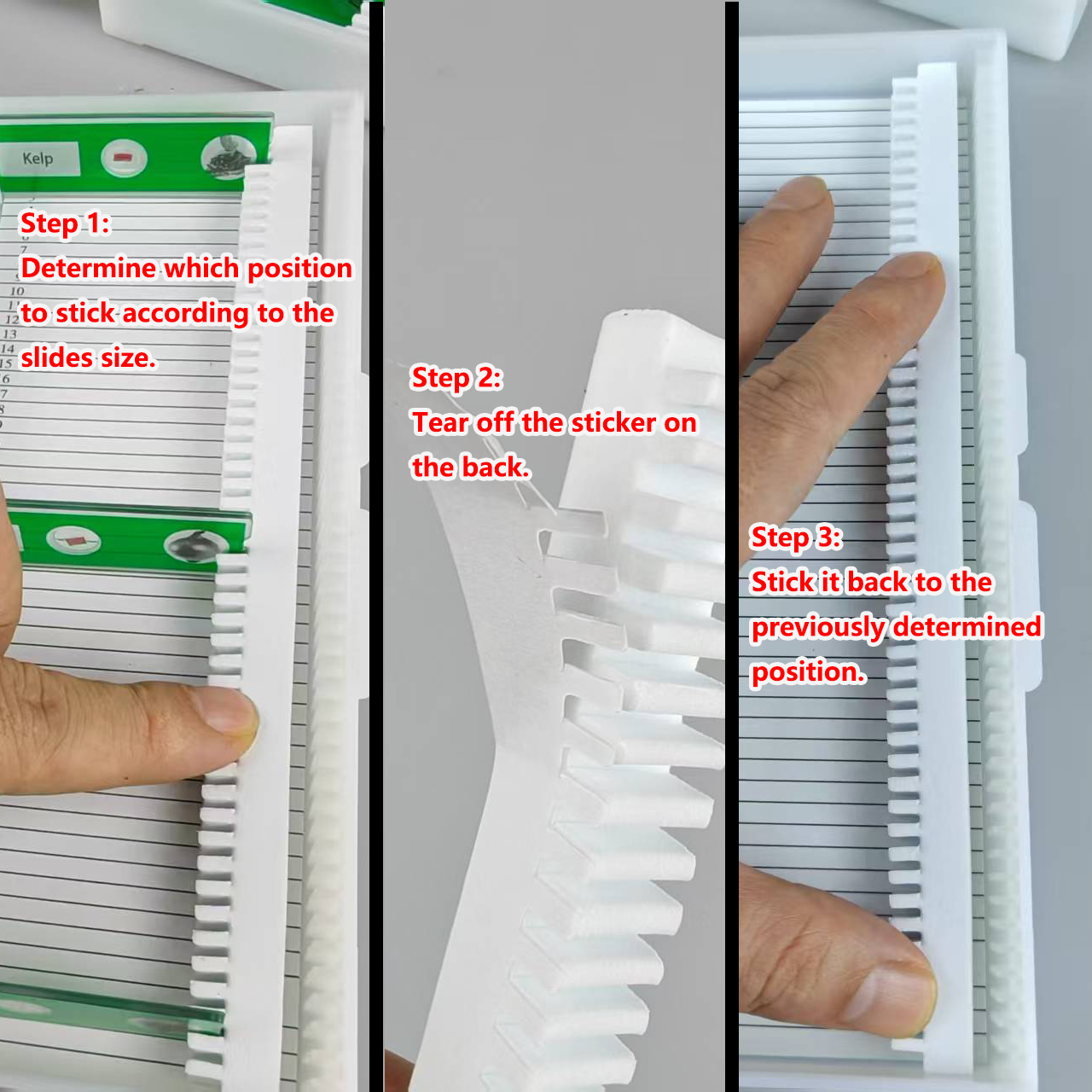 Small size 50 slots Microscope Slides Specimens Storage Box Case ...