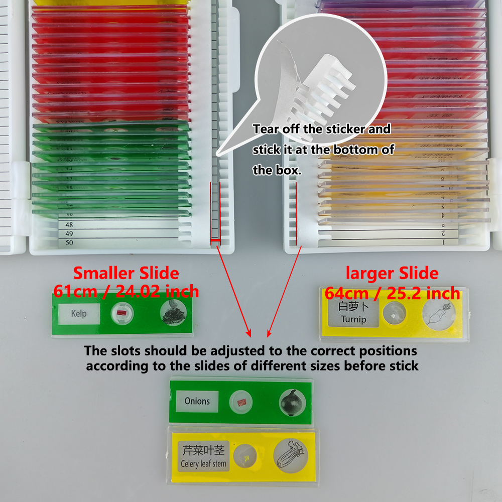 Small size 50 slots Microscope Slides Specimens Storage Box Case ...