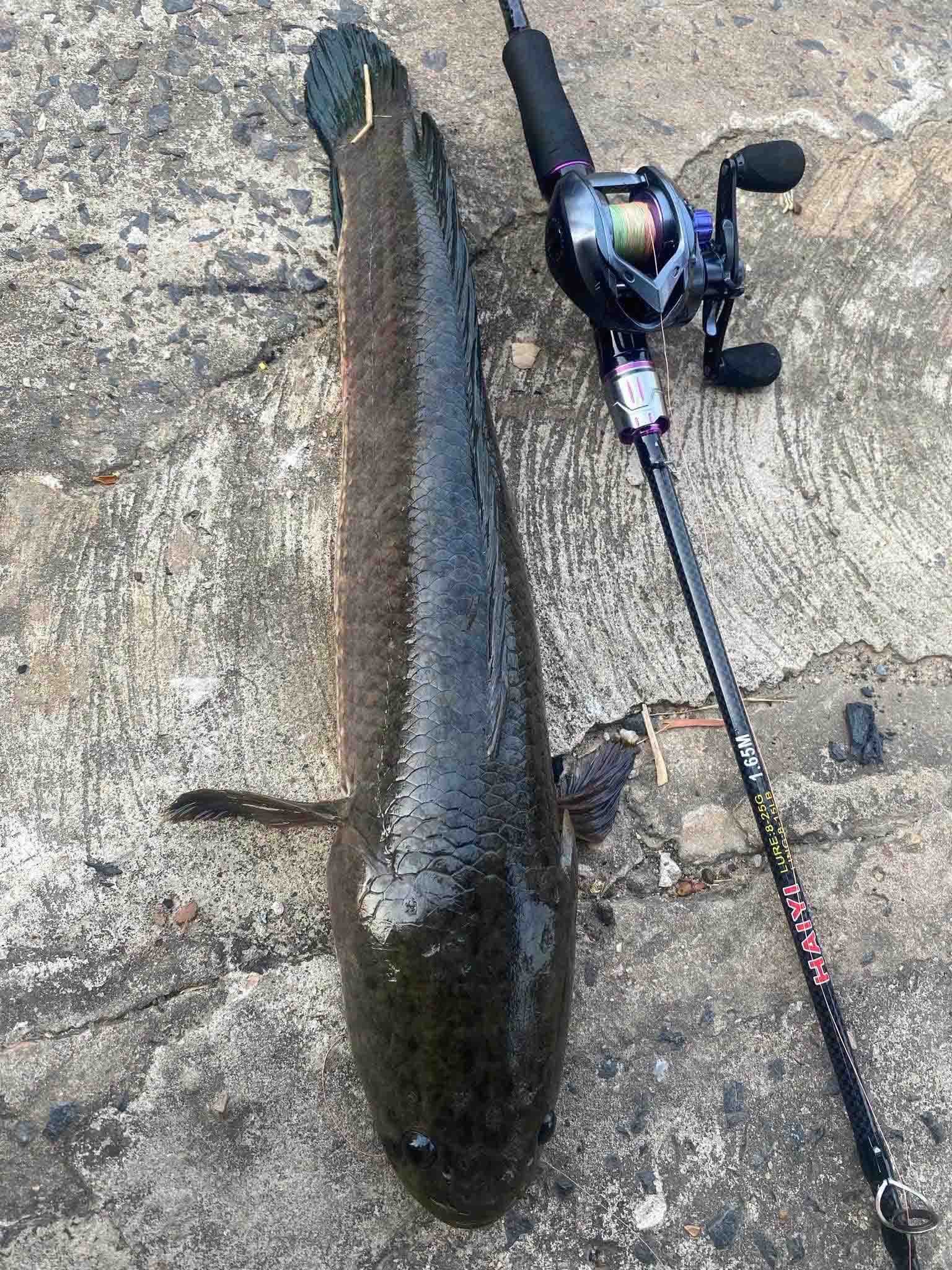 HAIYI FISHING Malaysia Spot joran casting casting set pancing casting 1 ...