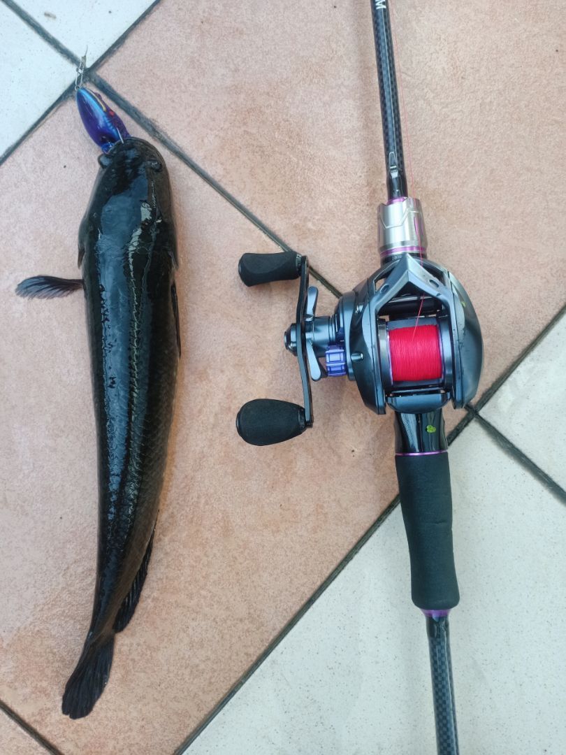 HAIYI FISHING Malaysia Spot joran casting casting set pancing casting 1 ...