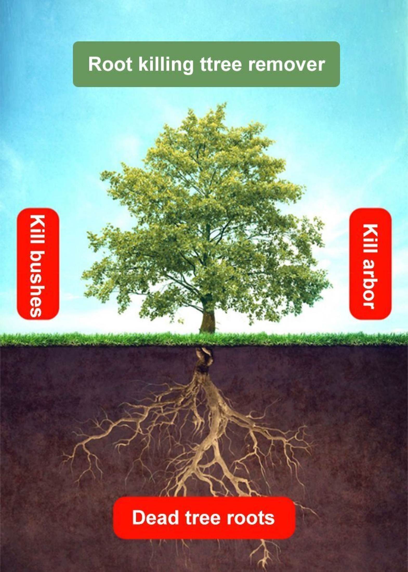 Root rot does not recur racun rumput paling kuat murah racun rumput ...