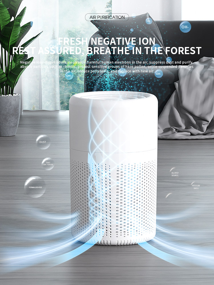 [READY STOCK] Air Purifier Room Dust Filter Negative Ion Purifier HEPA ...