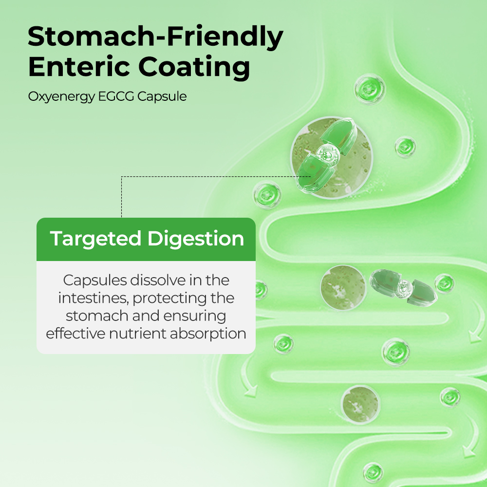 【New】Oxyenergy EGCG Green Tea Extract antioxidant supplement 750 mg ...