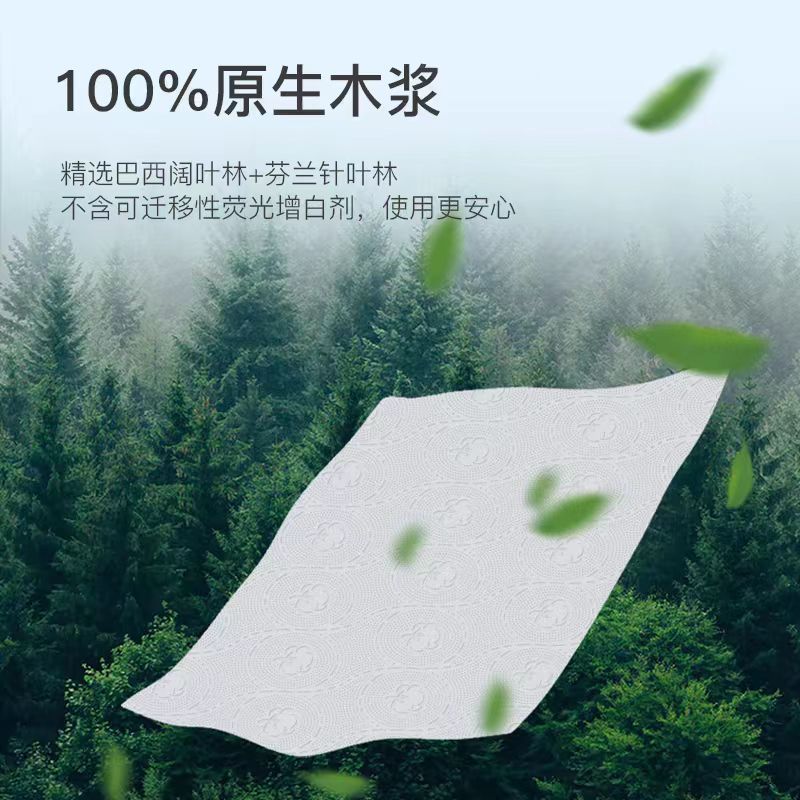 【SuSu Mall】TISSUE PAPER ROLL Sempo Toilet Roll 4ply （1box=20Rolls） Can ...