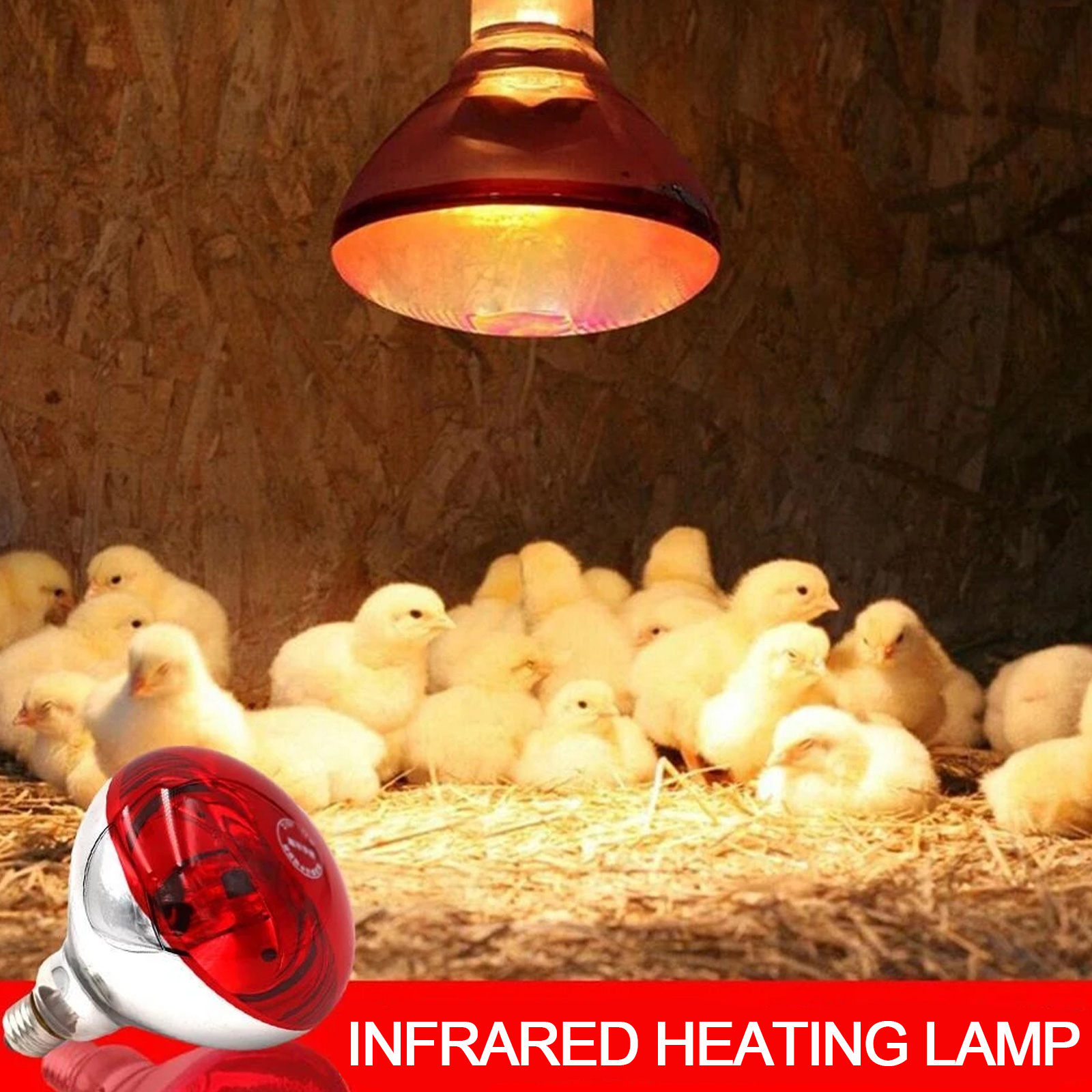[Local delivery] Poultry 220V Heating Lamp Bulb Thermal Preservation ...