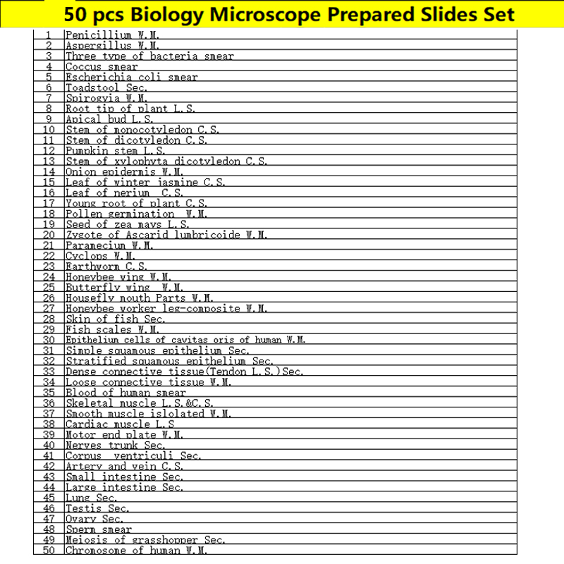 Biology Glass Prepared Microscope Slides Lab Specimens With Box slice ...