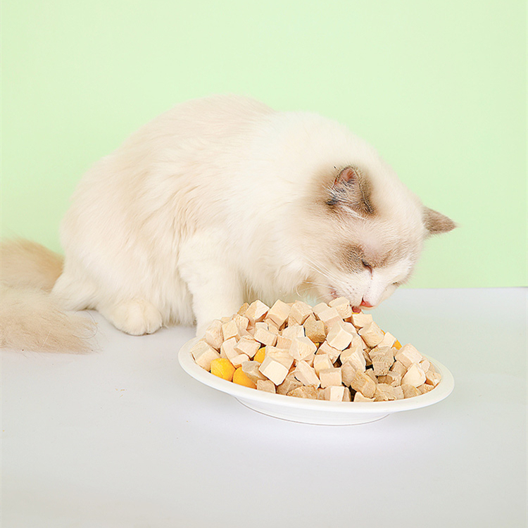 Pawfit Booster Gemuk Kucing Freeze Dried Chicken cube for cat Snack ...