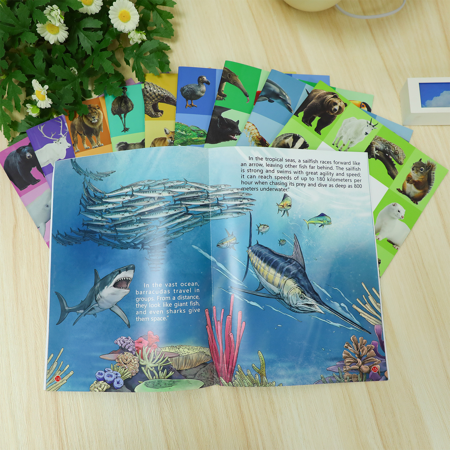 10-Volume Animal Encyclopedia Collection for Kids - Comprehensive ...