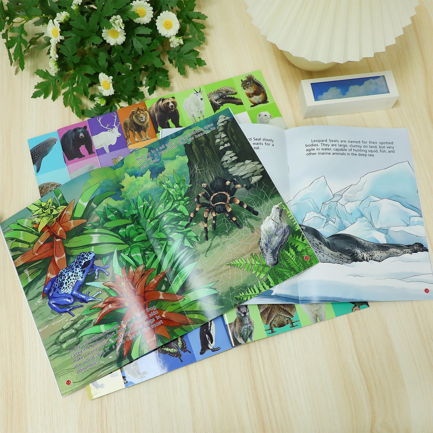 10-Volume Animal Encyclopedia Collection for Kids - Comprehensive ...