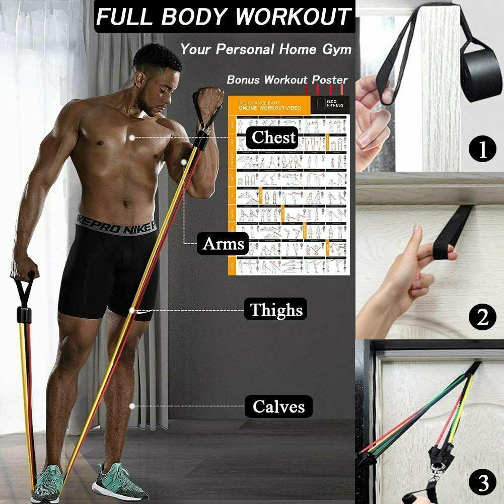 11-Piece Premium Resistance Band Set – Natural Latex Pull Ropes for ...