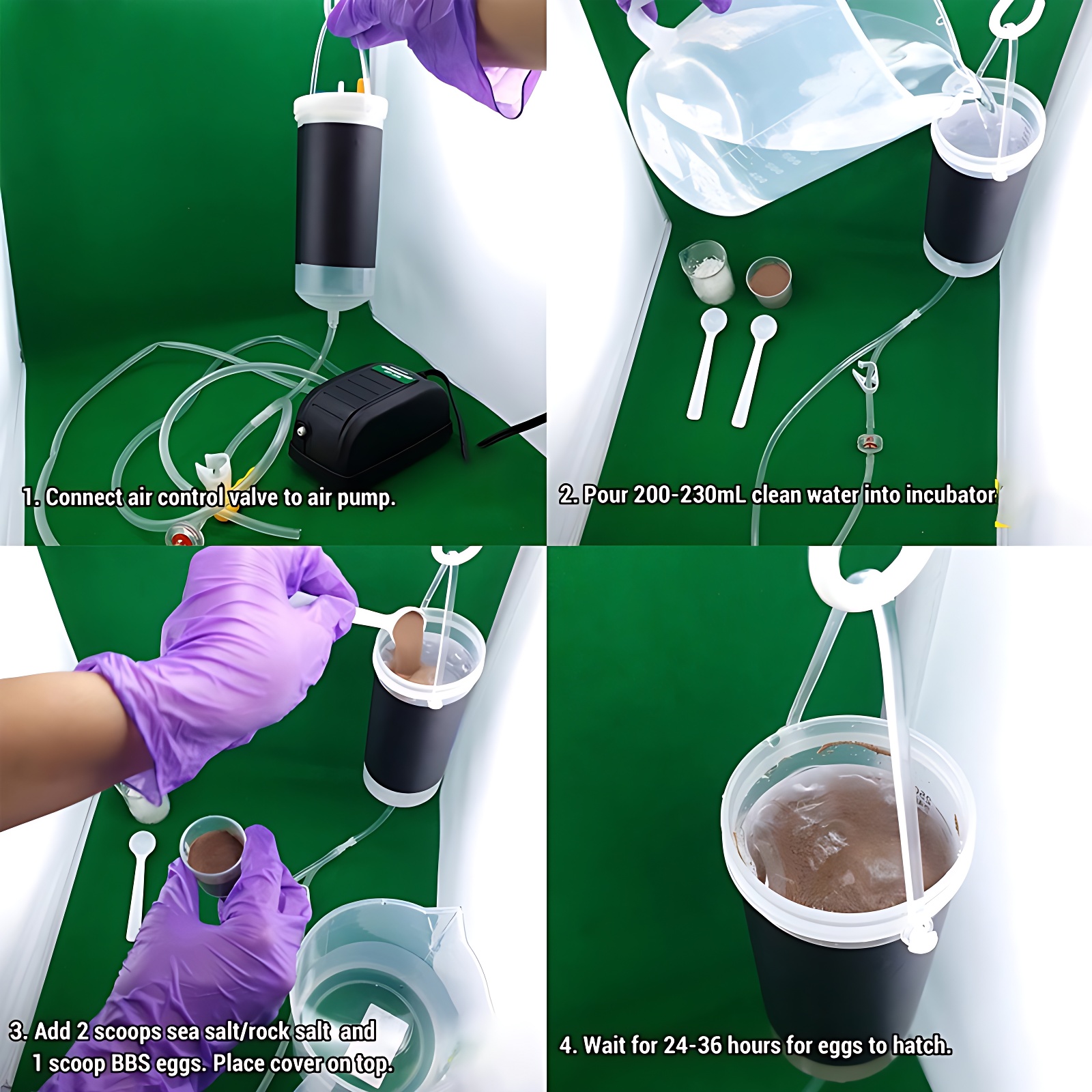 BBS Brine Shrimp Hatching Kit Brine Shrimp Seedling Hatching Kit Brine ...