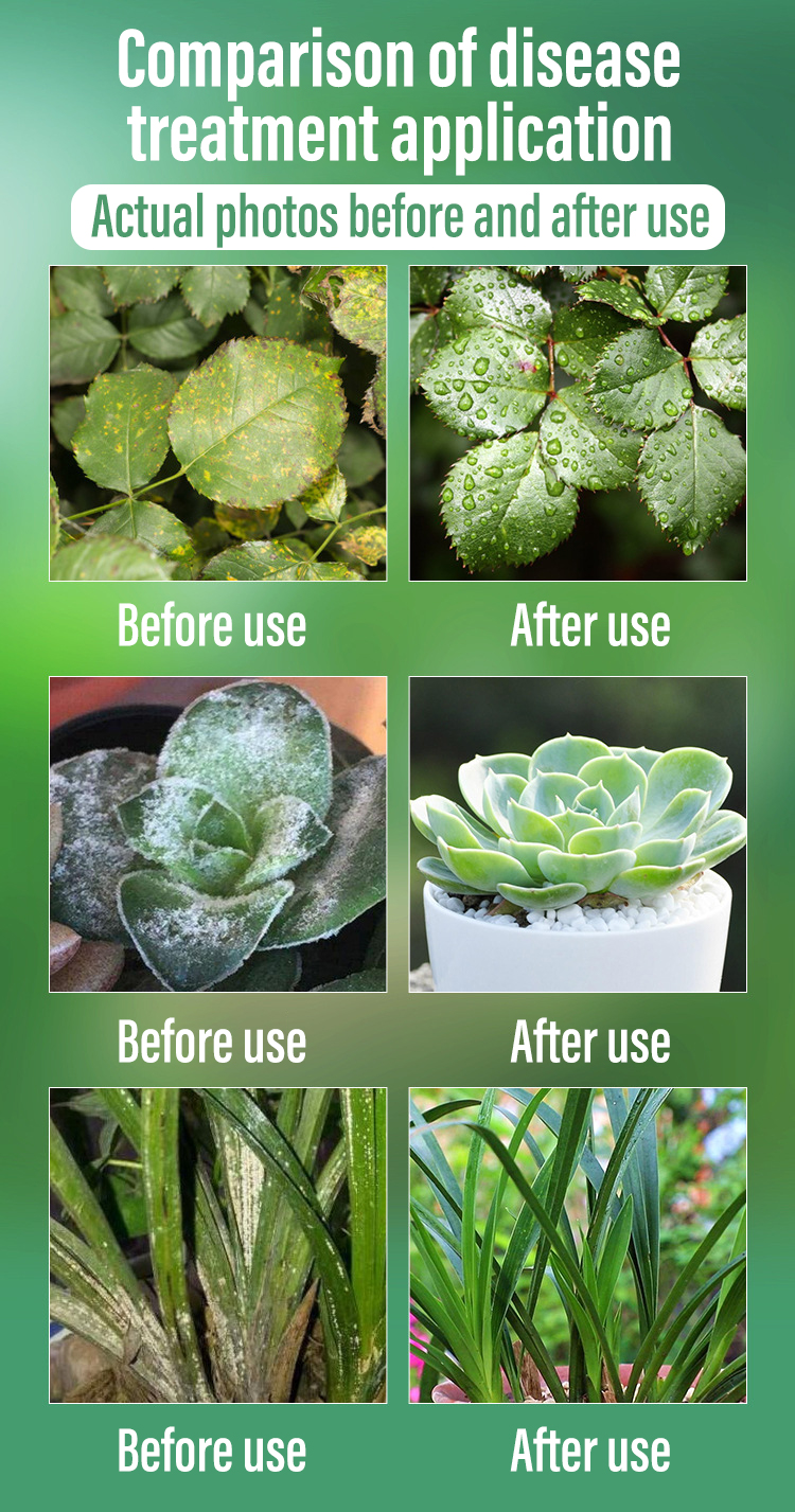 3S insecticide racun serangga tanaman sayur no harm to plants racun ...