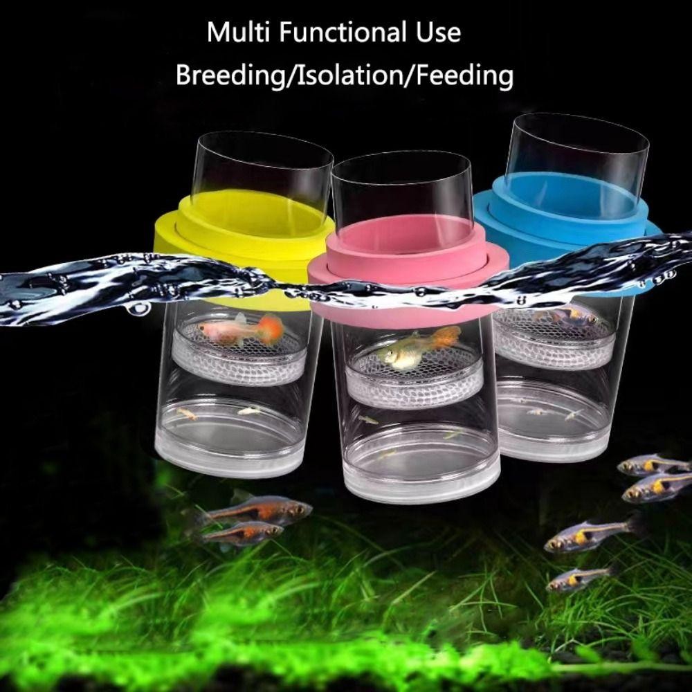 MY Fish tank hatching box with locator guppy breeding isolation box ...