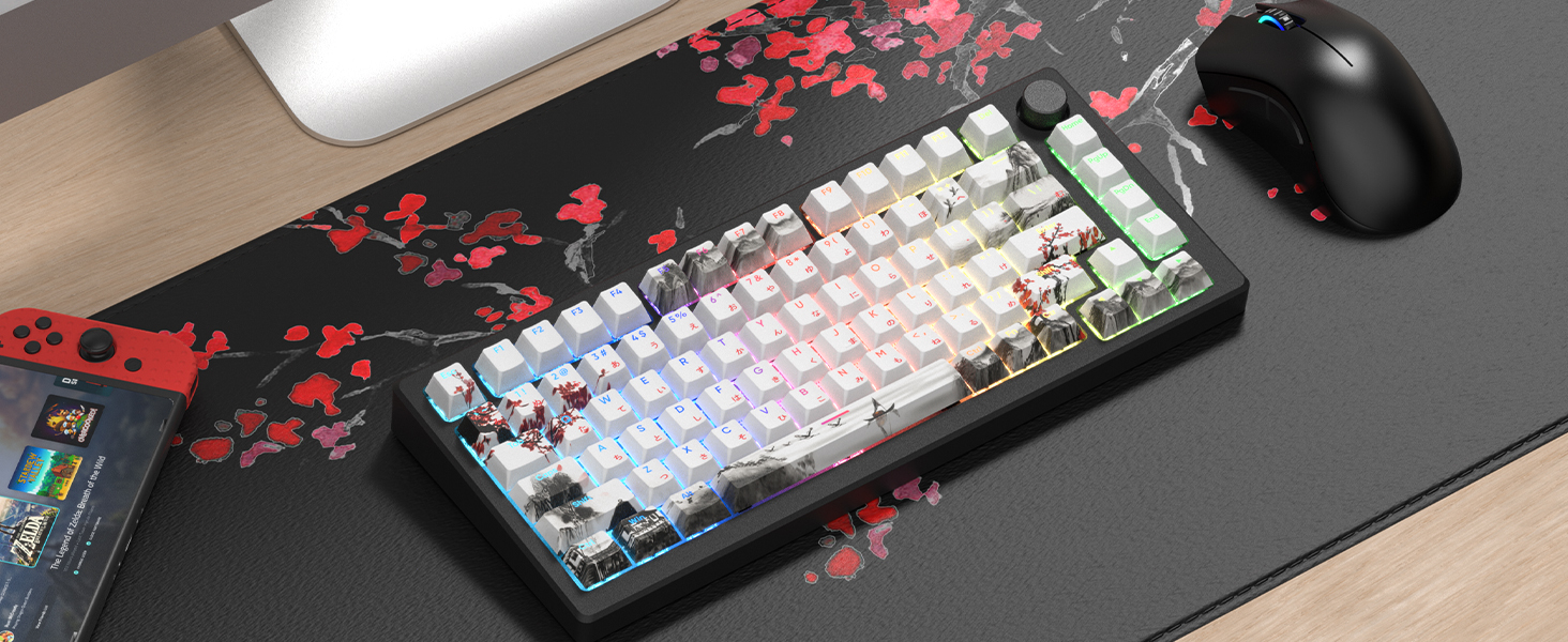 Womier Custom White Japanese Dye Sub 127 Keys Shine Through Cherry ...
