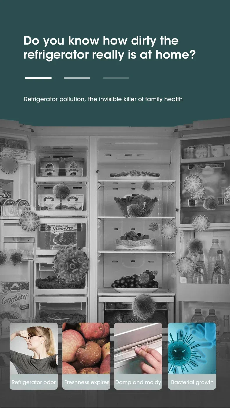 6-in-1 Holy Basil Air Defender | Portable Ozone + Ion Purifier for Refrigerator Durian Smell ...