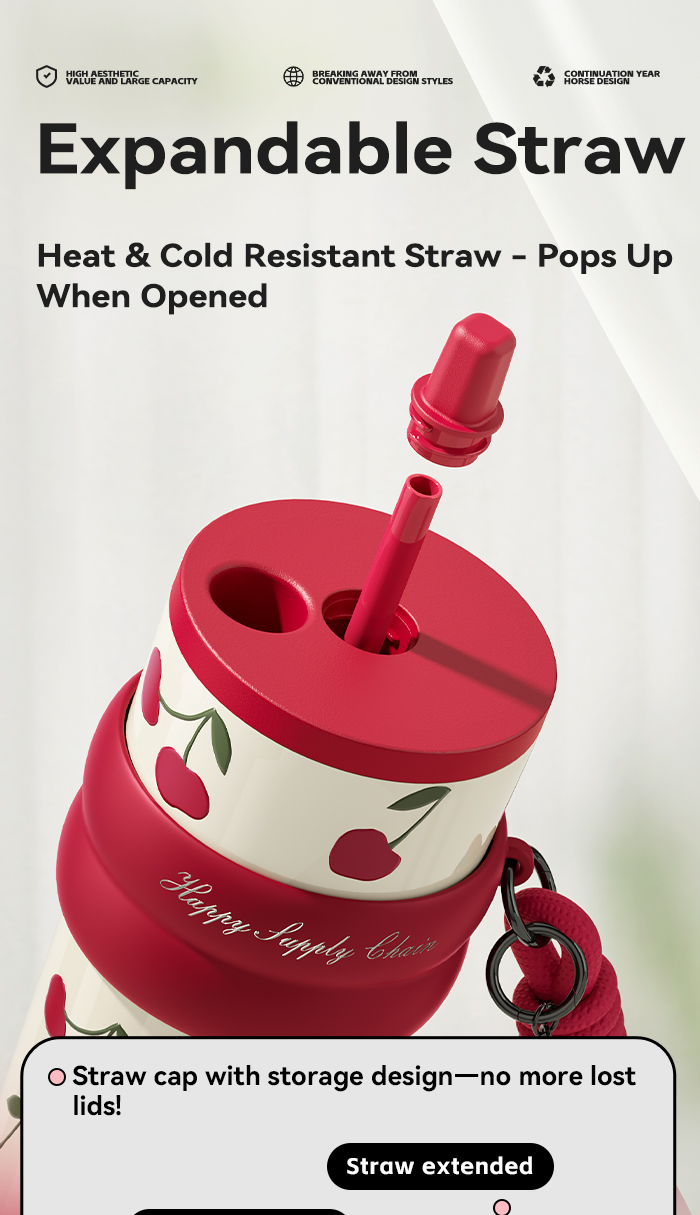 Sidagar Aurora Starry Night Cup 316L Stainless Steel Tumbler Bottle (710ml/24oz) | Shopee Malaysia