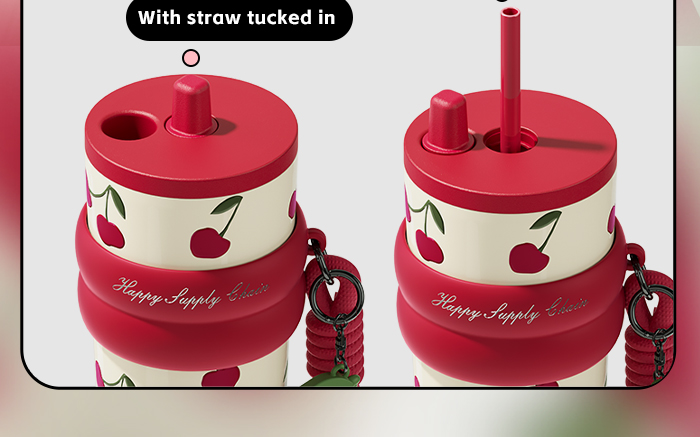 Sidagar Aurora Starry Night Cup 316L Stainless Steel Tumbler Bottle (710ml/24oz) | Shopee Malaysia