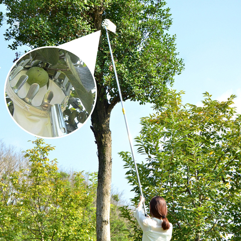 3M/5M/6M/7M Telescopic Fruit Picker High Branch Shears & Saw for ...
