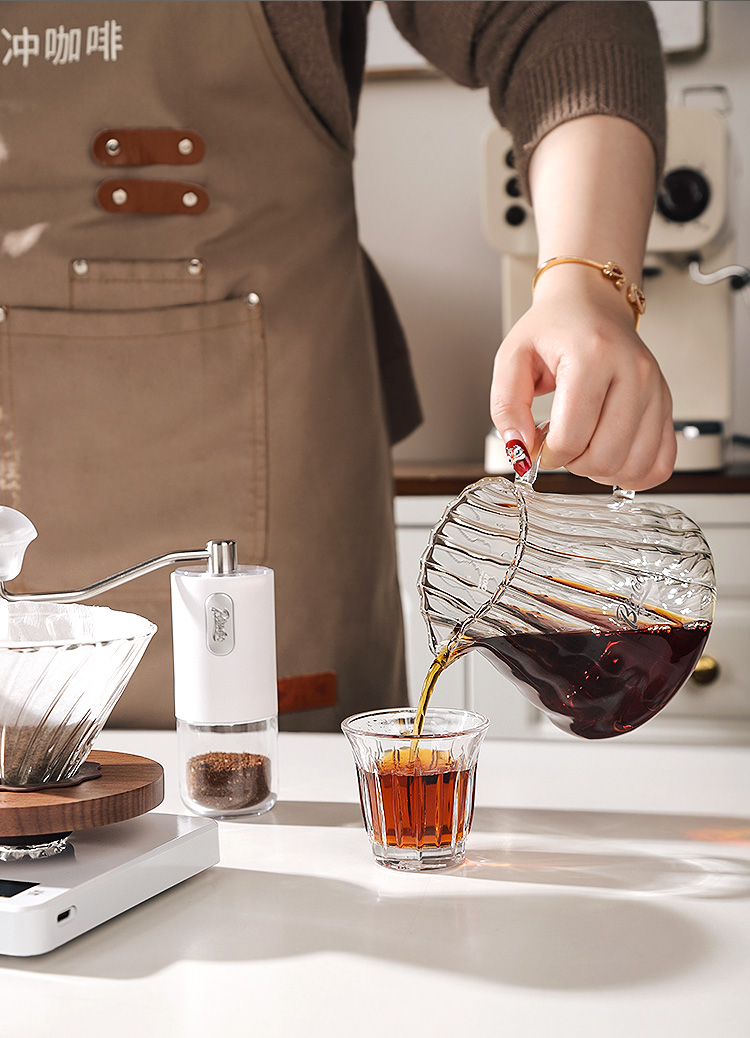BINCOO Hand Brew Coffee Pot Set Home Filter Cup Sharing Pot Manual ...
